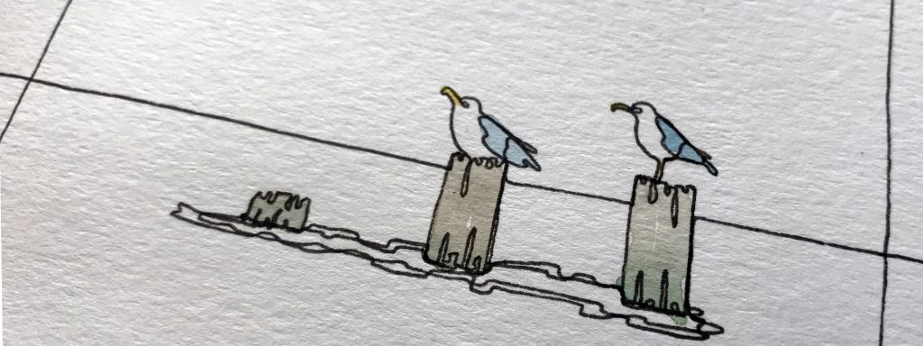 The Constant Doodler – a single continuous line on a meandering journey