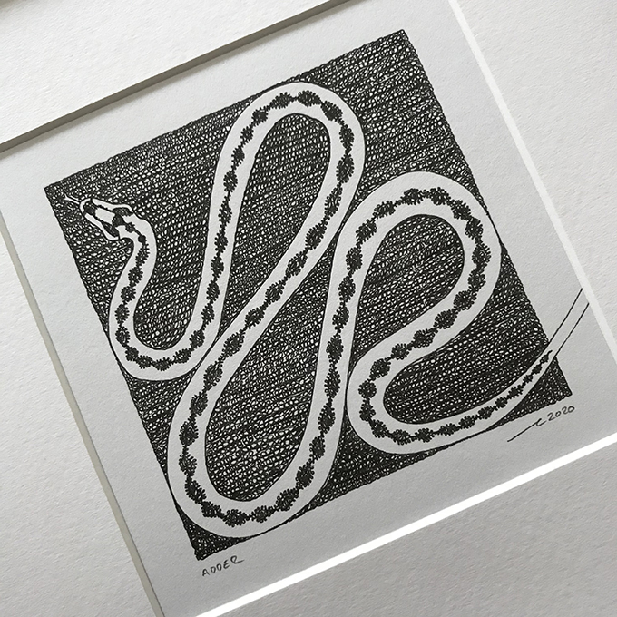 The Constant Doodler – a single continuous line on a meandering journey